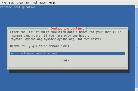 DynDNS Client Setup on Ubuntu – Life in apps, OSs and code!